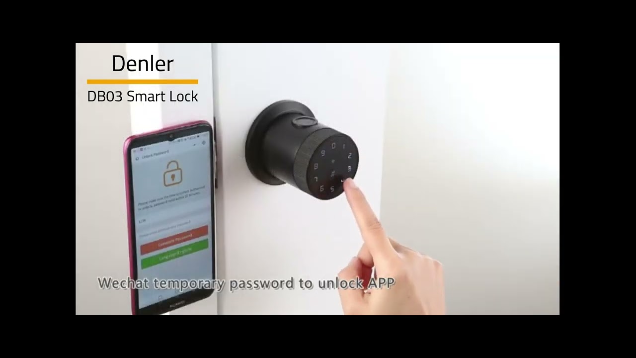 Denler DB03 Smart Door Lock, Digital Door Lock WiFi Remote Unlock ...