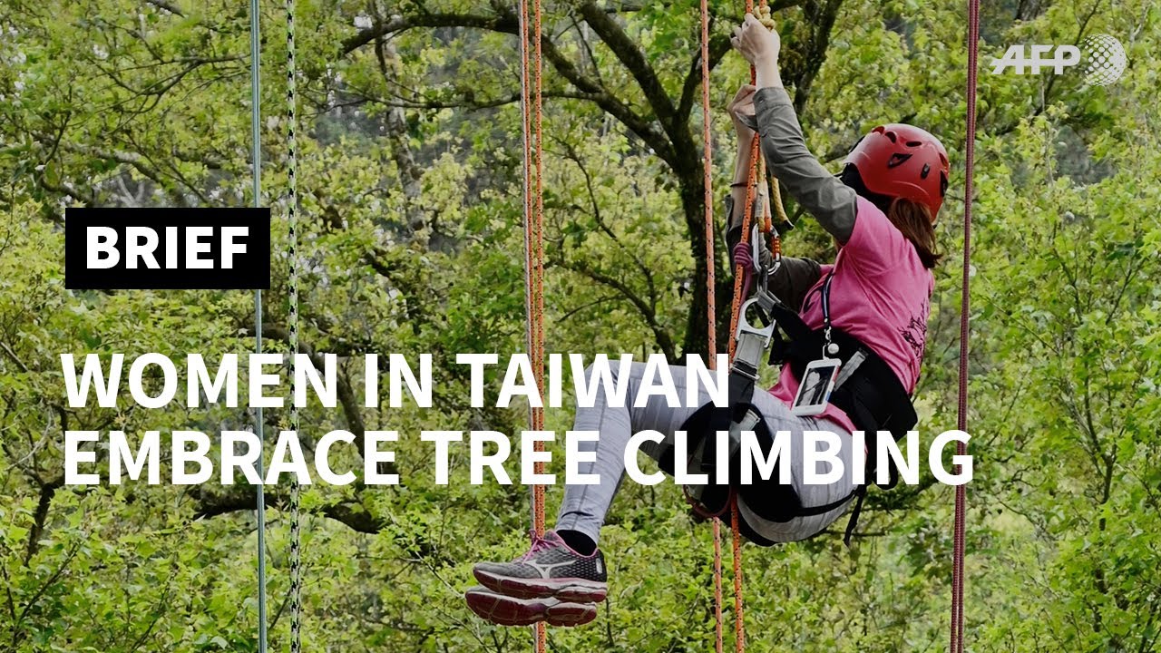 Women with head for heights embrace tree climbing in Taiwan | AFP - YouTube