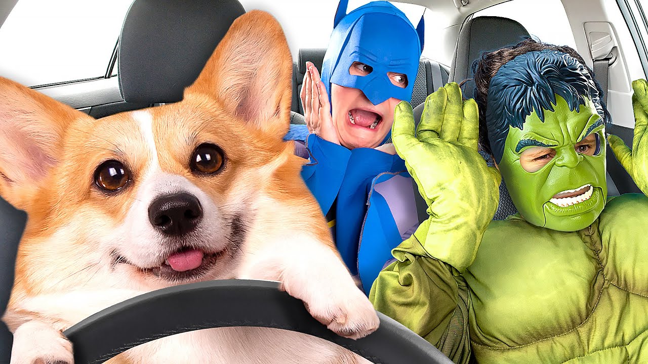 Superheroes Surprise Funny Dog With Dancing Car Ride - YouTube