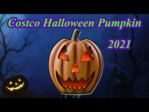 Costco Halloween Pumpkin 2021