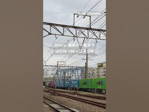 (貨物列車) 2023/04/23 5054レ EF210-146 + コキ22B (福岡タ〜東京タ) #Shorts - YouTube