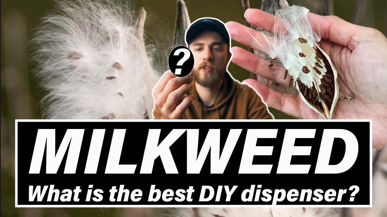 STOP Buying Wind Checkers! | The Best DIY Milkweed Dispenser - YouTube