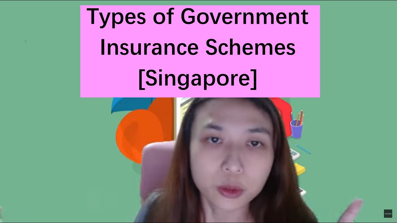 The Ultimate Handbook: Singapore Government Insurance Schemes 101! 💪🌟 ...