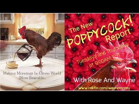 Watch The New Poppycock Report! For Free On Rokfin! - YouTube