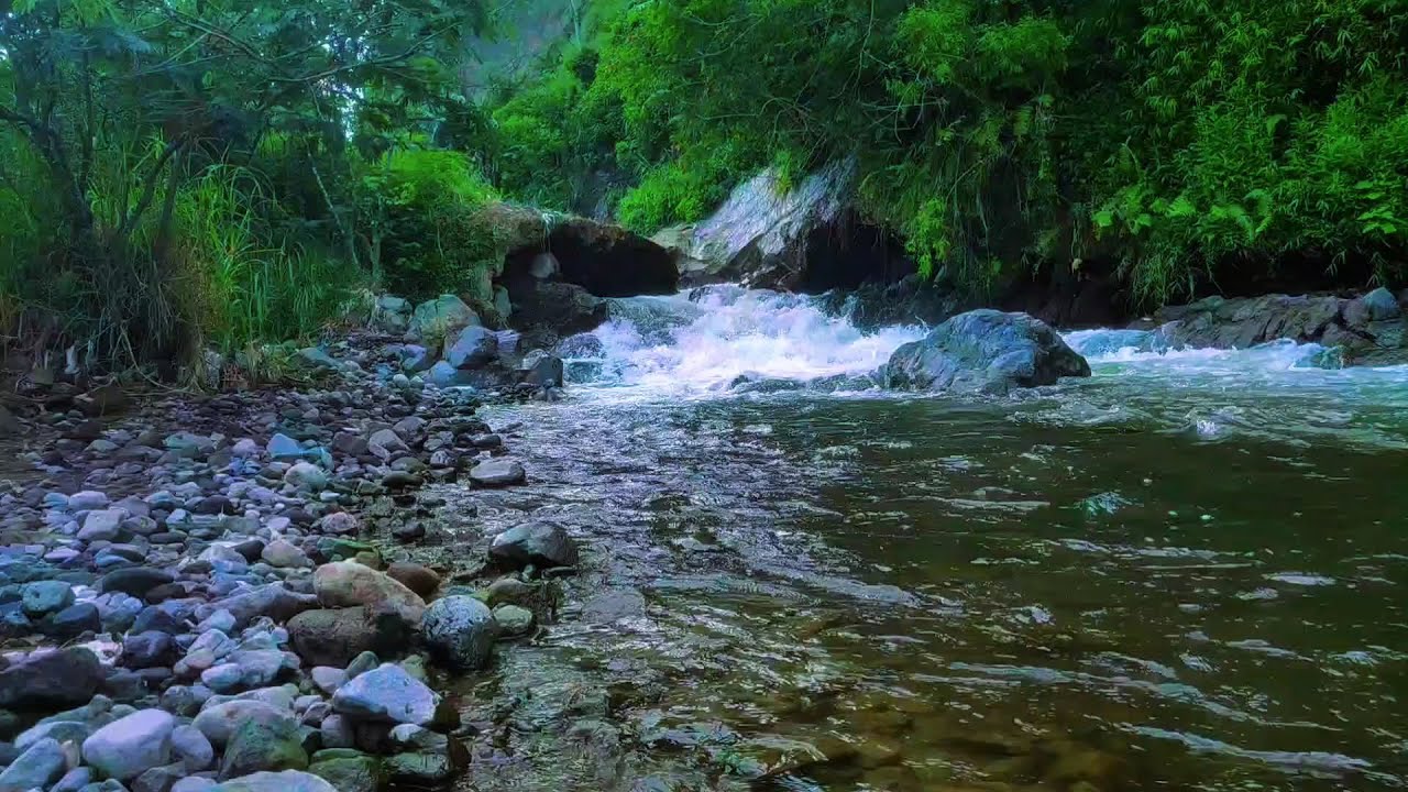 Calming River Flow - Peaceful Mountain Landscape and Sleep Sounds - YouTube