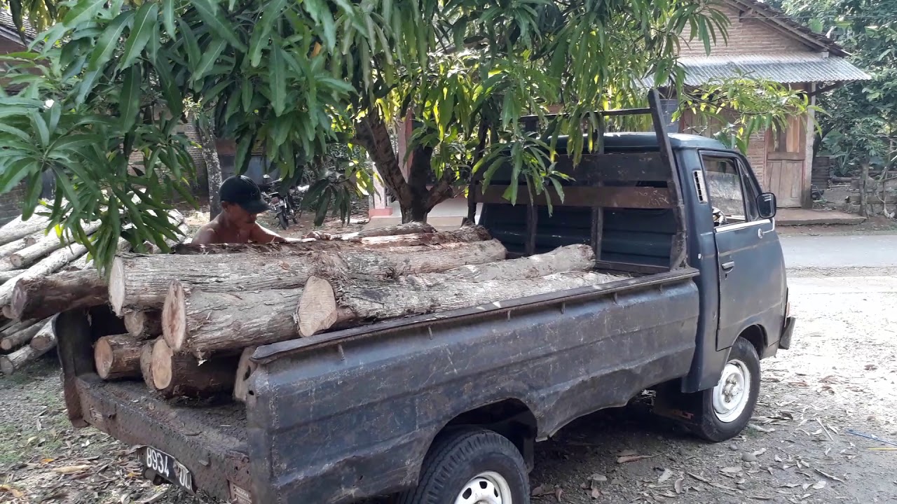 Jual Kayu Log Jati Pacitan - YouTube