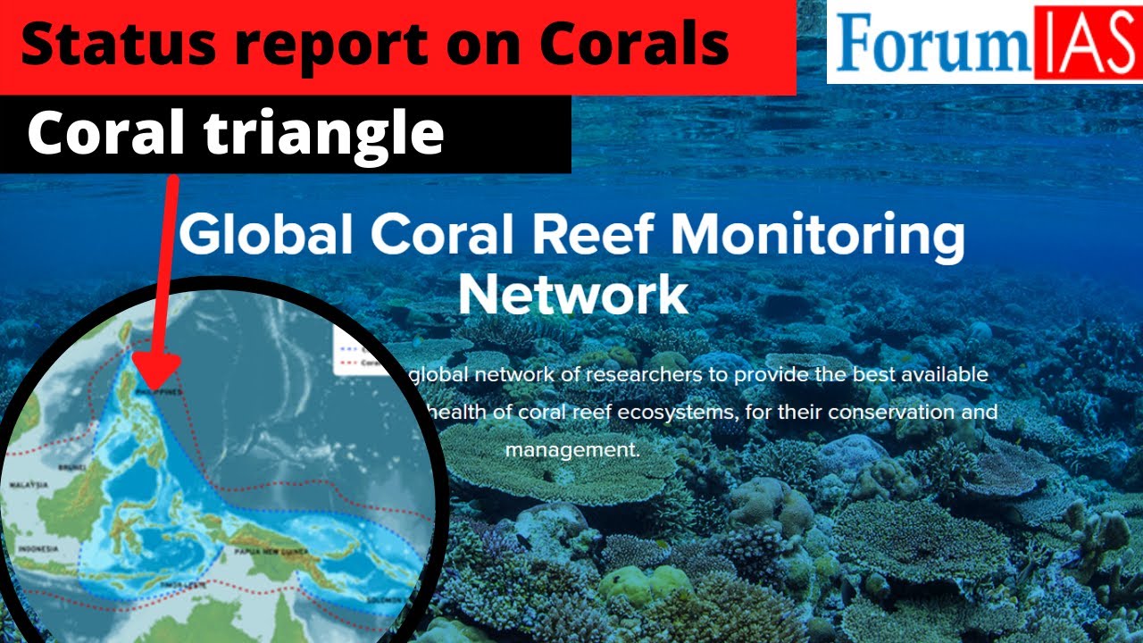 Status Report on Corals | Global Coral Reef Monitoring Network (GCRMN ...