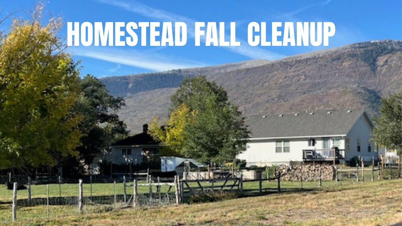 Homestead fall clean-up is in full swing; Vlog #349 - YouTube