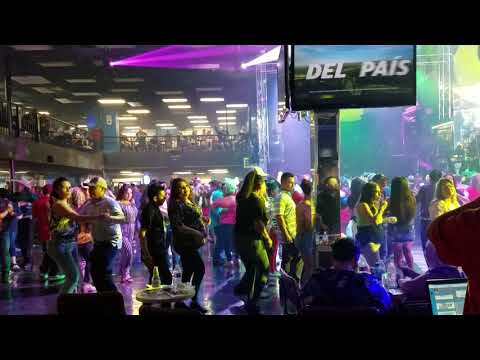 La pulga loka 59 south - YouTube