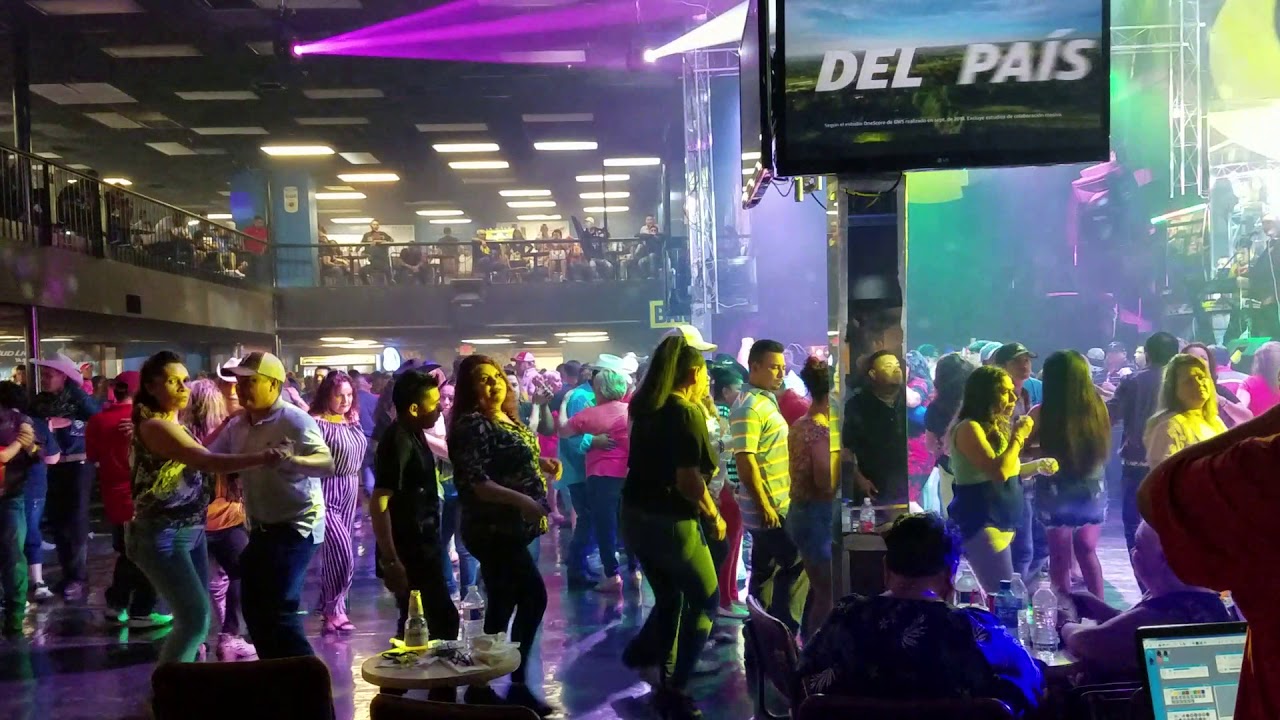 La pulga loka 59 south - YouTube