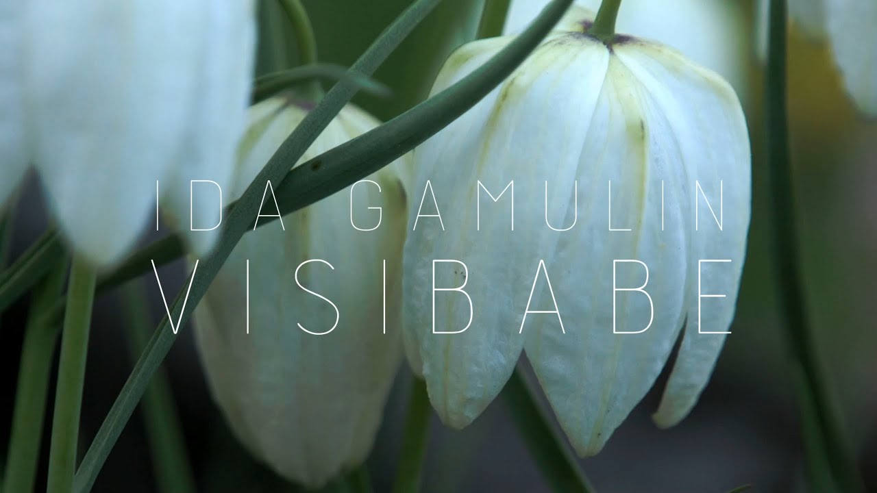 Ida Gamulin - Visibabe - YouTube