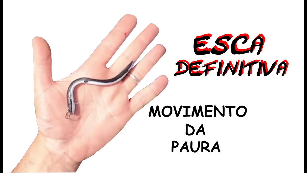 L'esca DEFINITIVA | Costruzione, Collaudo e CATTURE! - YouTube