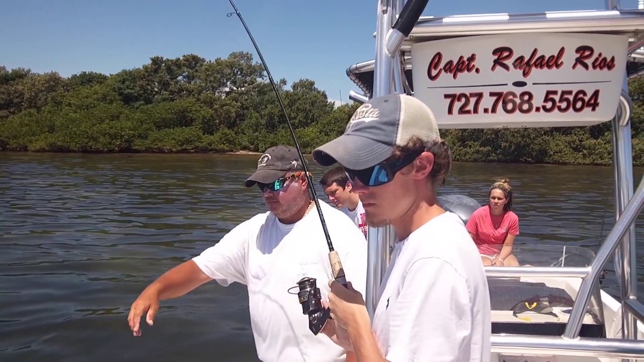Shark Fishing in Fort Desoto - YouTube