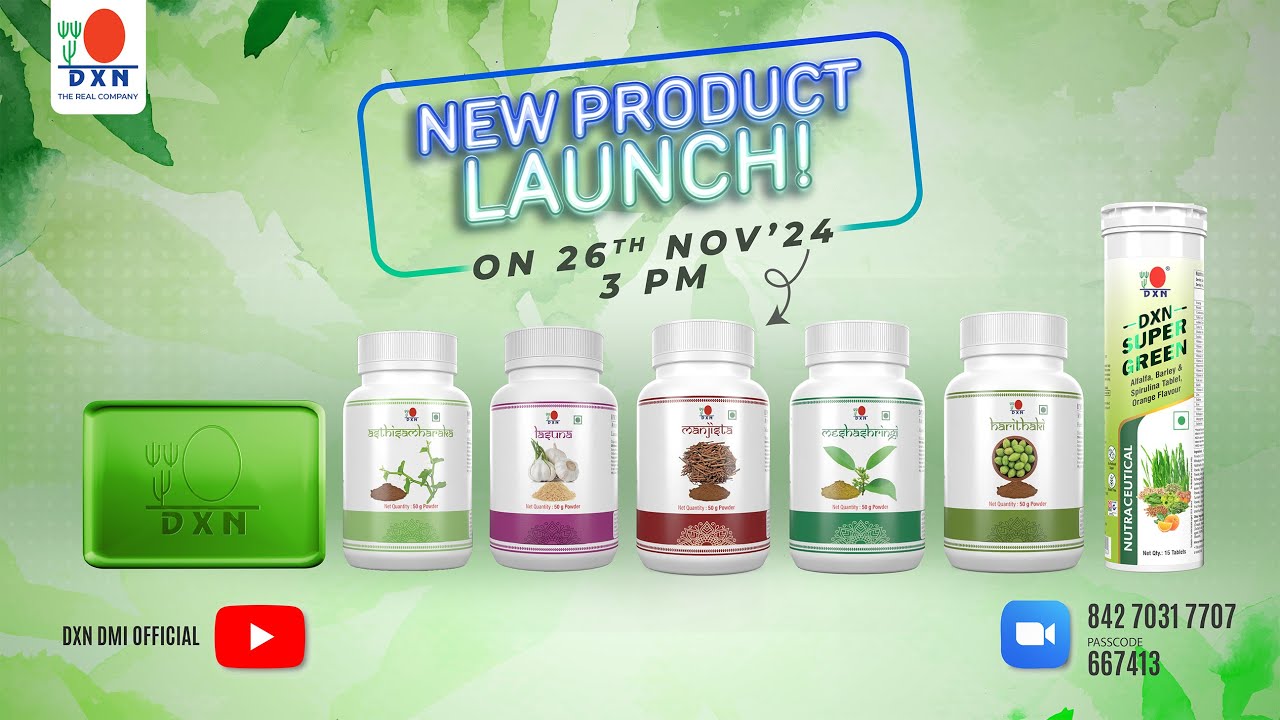 New Products Launch (II) - Nov 2024 - YouTube