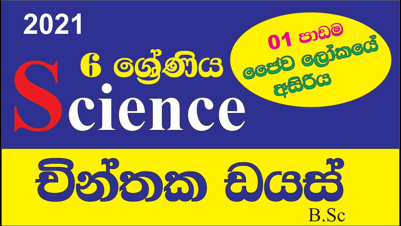 GRADE 6 SCIENCE LESSON 1 - YouTube