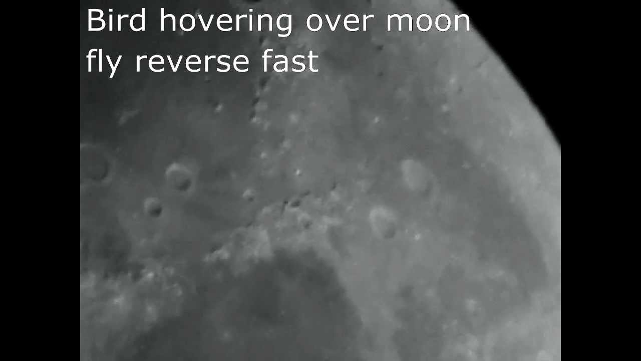 Objects flying over moon HD 720p - YouTube