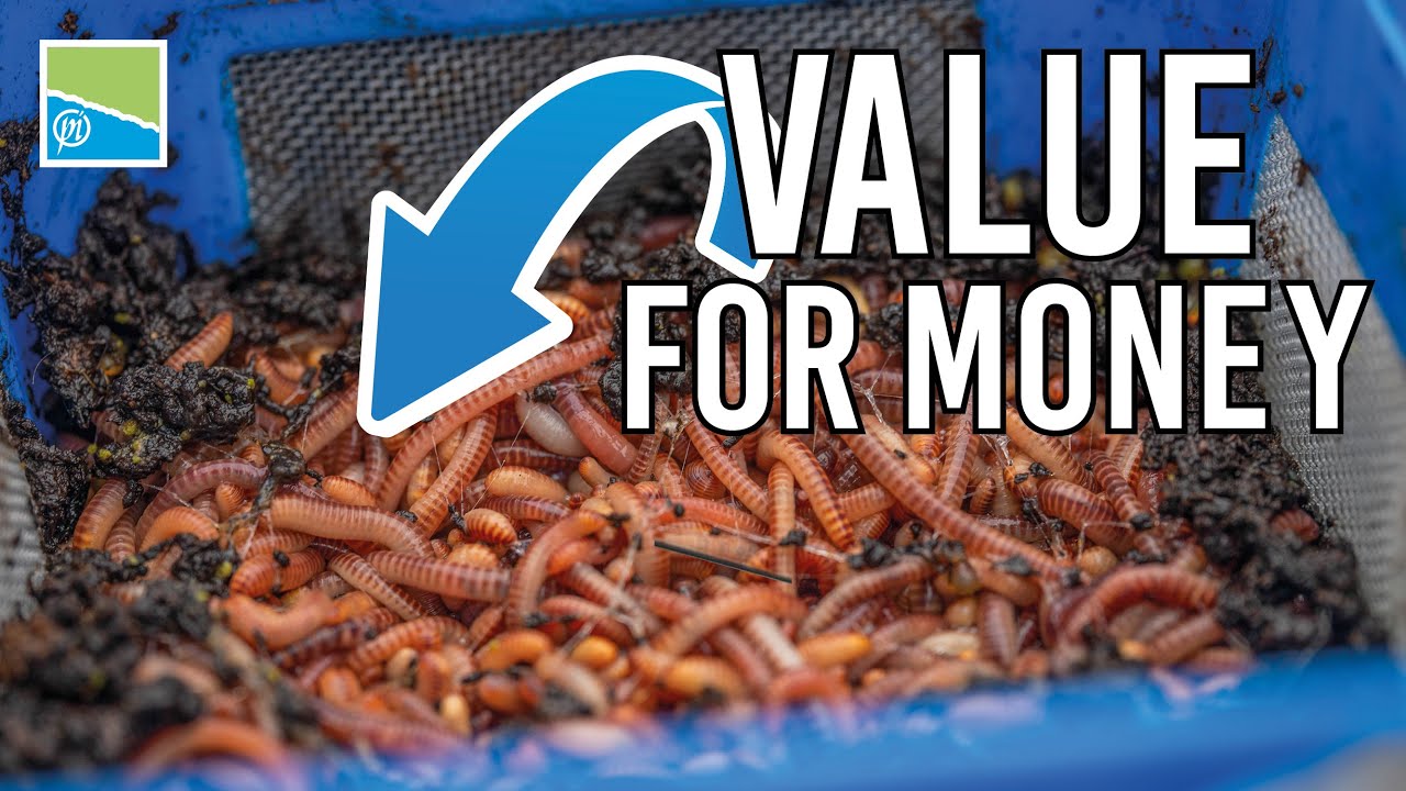 How To Get Value For Money When Buying Worms | Will Freeman - YouTube