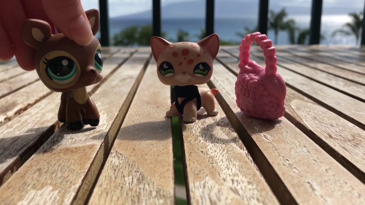 LPS CAMP CREEPY (episode 1) - YouTube