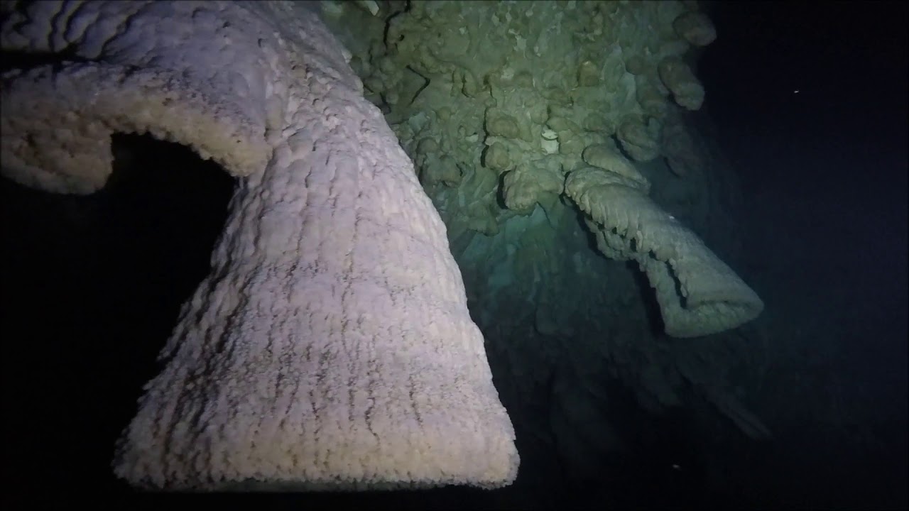Javs-31 cenote zapote / hell bells 26 enero 2020 - YouTube