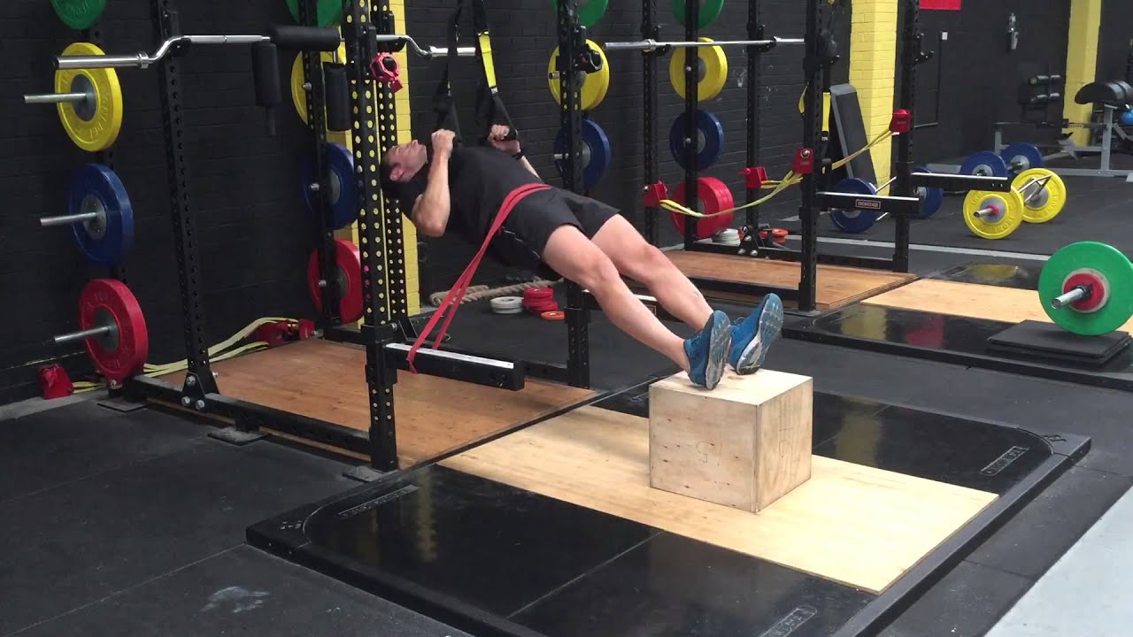 TRX Rows Band Resisted - YouTube