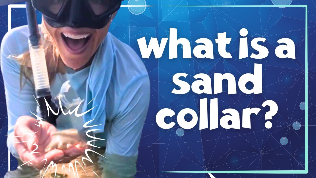 What is a Sand Collar? - YouTube