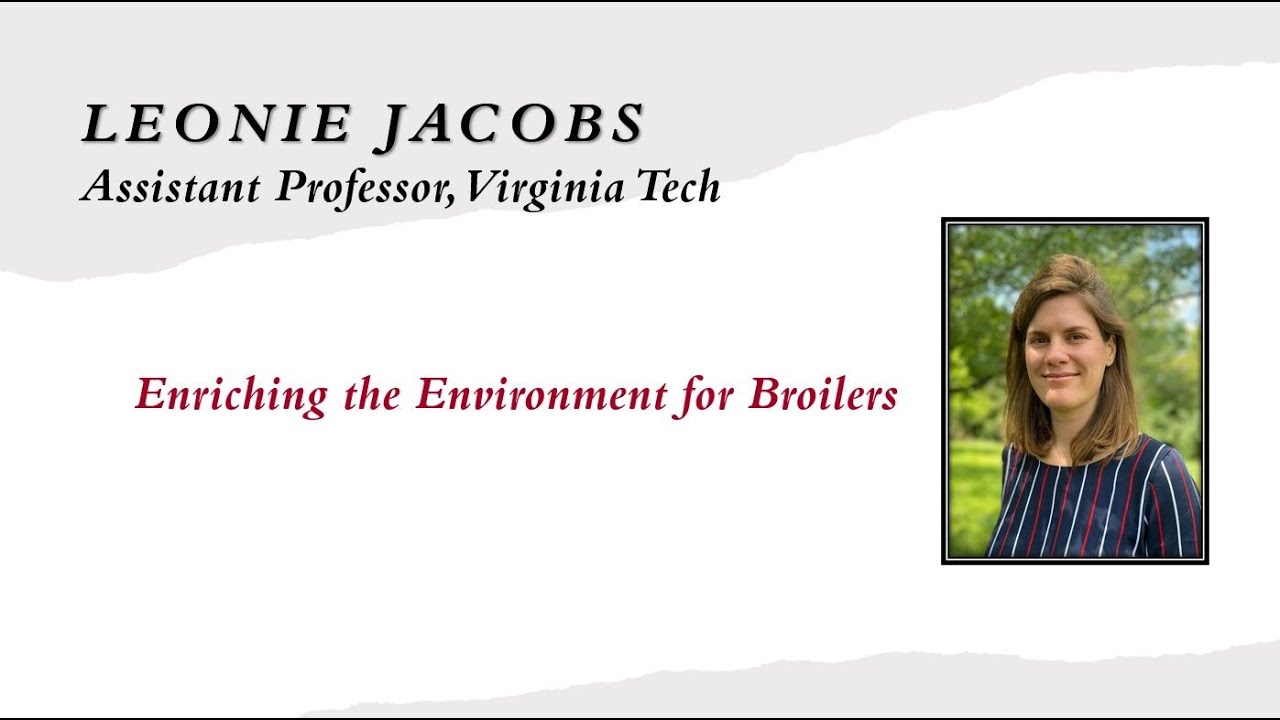 2022 CFAW Symposium: Leonie Jacobs - Enriching the Environment for ...