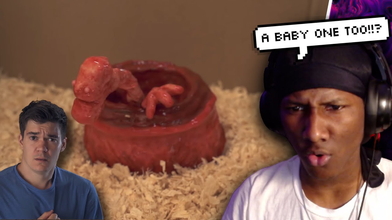 MixWind Reacts To The Lock Down Buddy 2: How to look after your buddy - YouTube