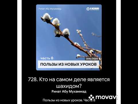 Кто на самом деле является шахидом? описание награды для шахида; Ринат Абу Мухаммад
