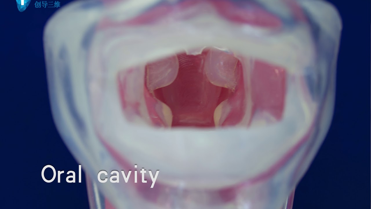 Bronchoscopy Simulator - YouTube