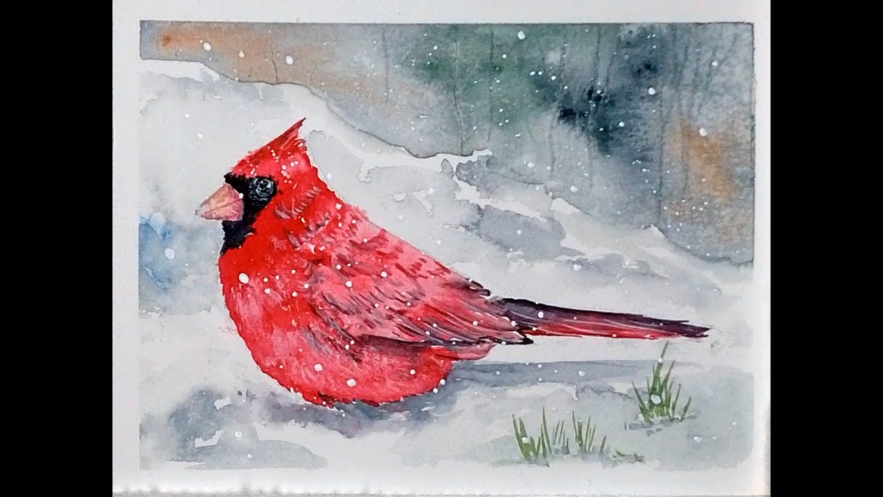 Watercolor Cardinal in snow tutorial with Carol Robin King -Start the ...