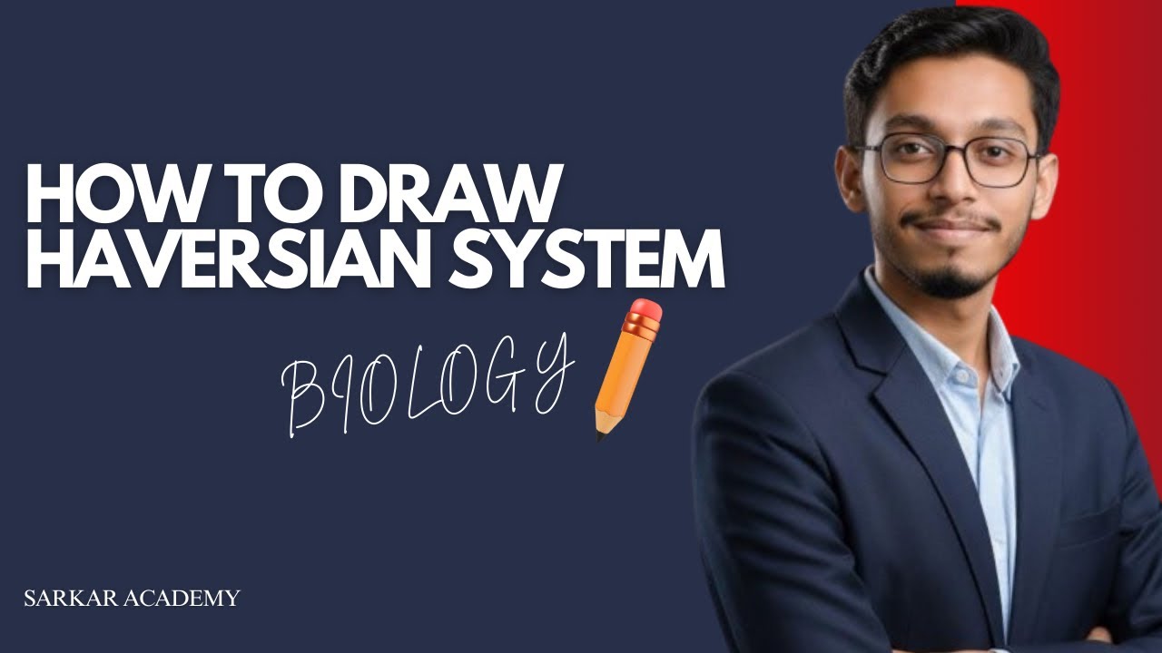 How to draw Haversian System।কিভাবে হ্যাভারসিয়ান তন্ত্র আঁকবেন ...