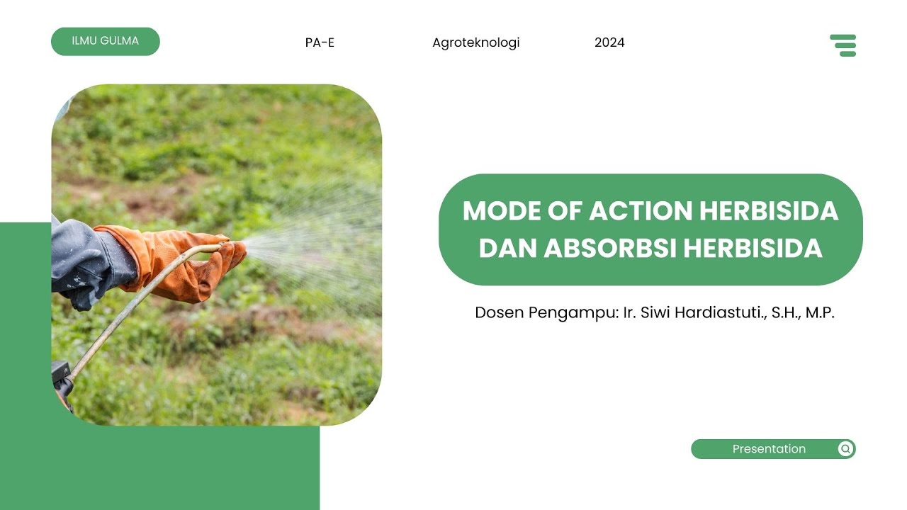 Mode of Action Herbisida & Absorbsi Herbisida - YouTube