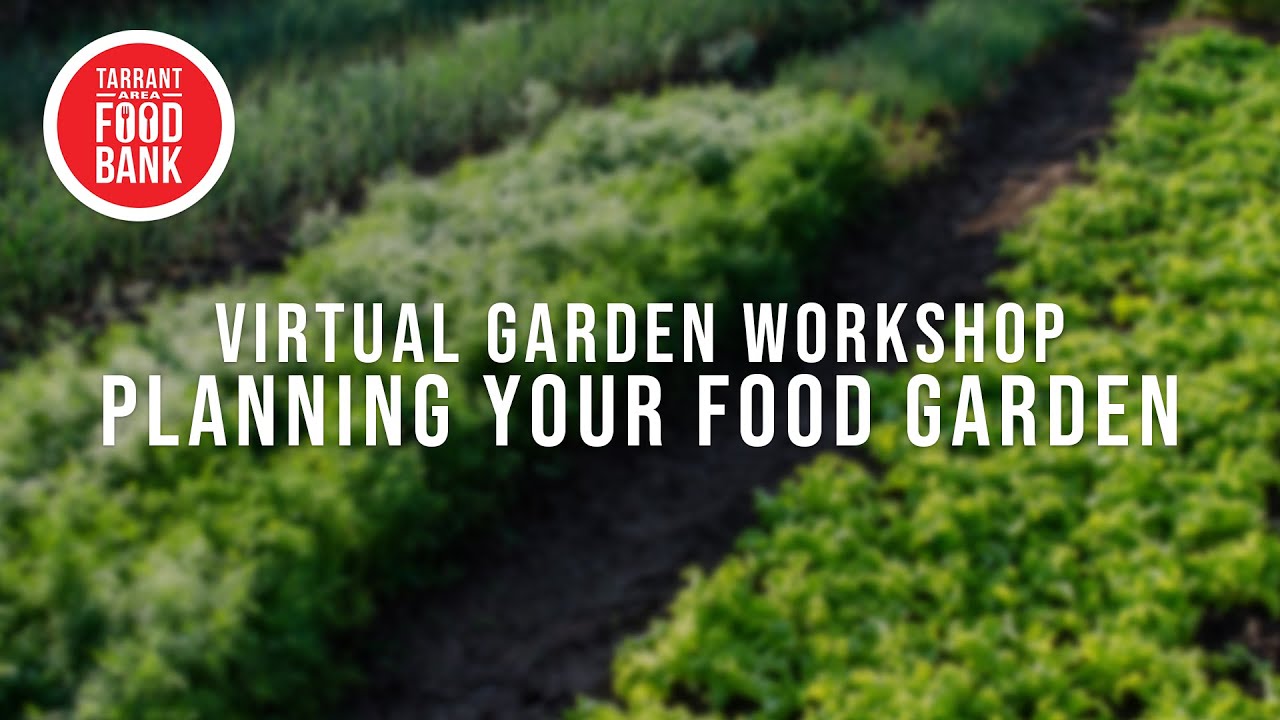 Virtual Gardening Workshop: Planning Your Food Garden - YouTube