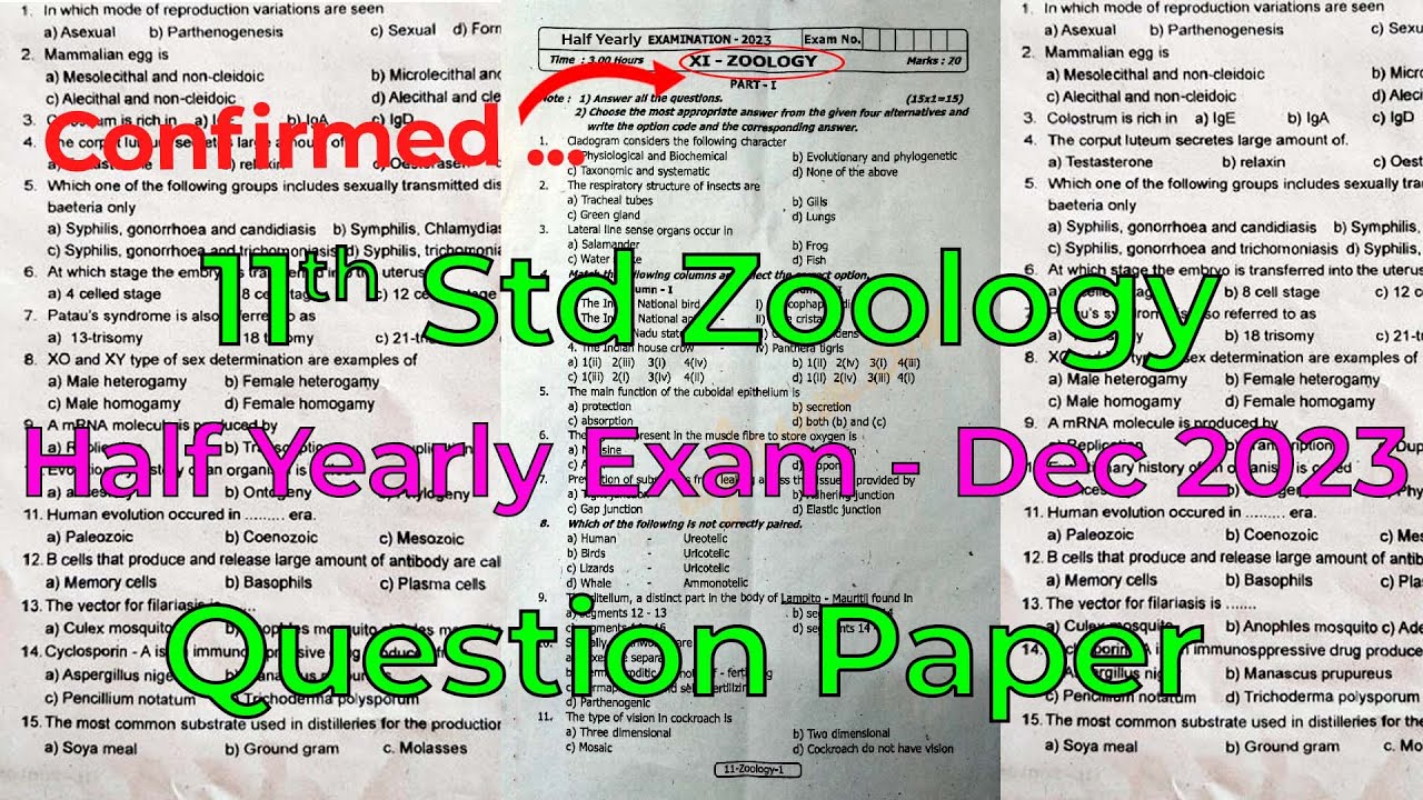 11th Zoology | Half Yearly Exam Questions Paper 2023 | Original Model ...