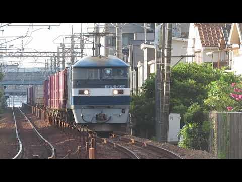 JR貨物 EF210-167号機（吹田）＋コキ24両 貨物列車63レ 2023.07.30 - YouTube