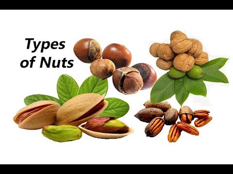 Types of Nuts English Vocabulary - YouTube