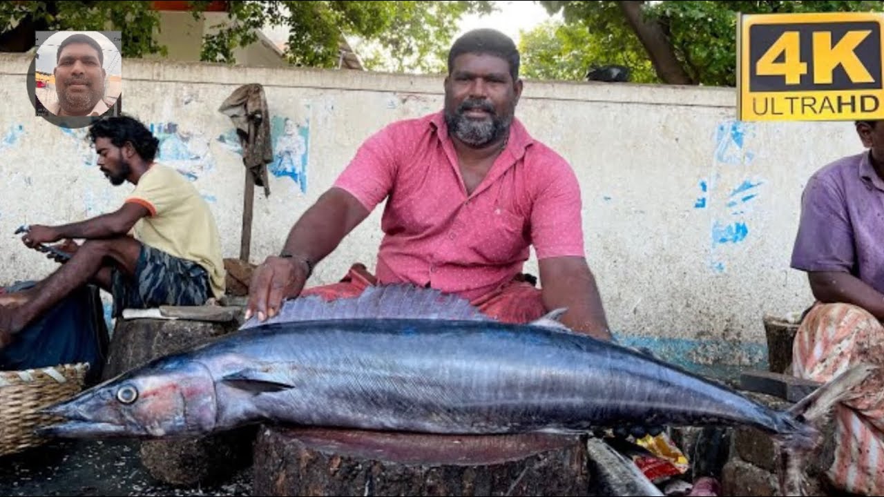 Ara kola fish cutting video/fishcuttingrs#fish #fishcuttingrs #kasimedu ...