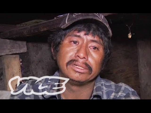 Vice - Fringes - Dokustreams.de