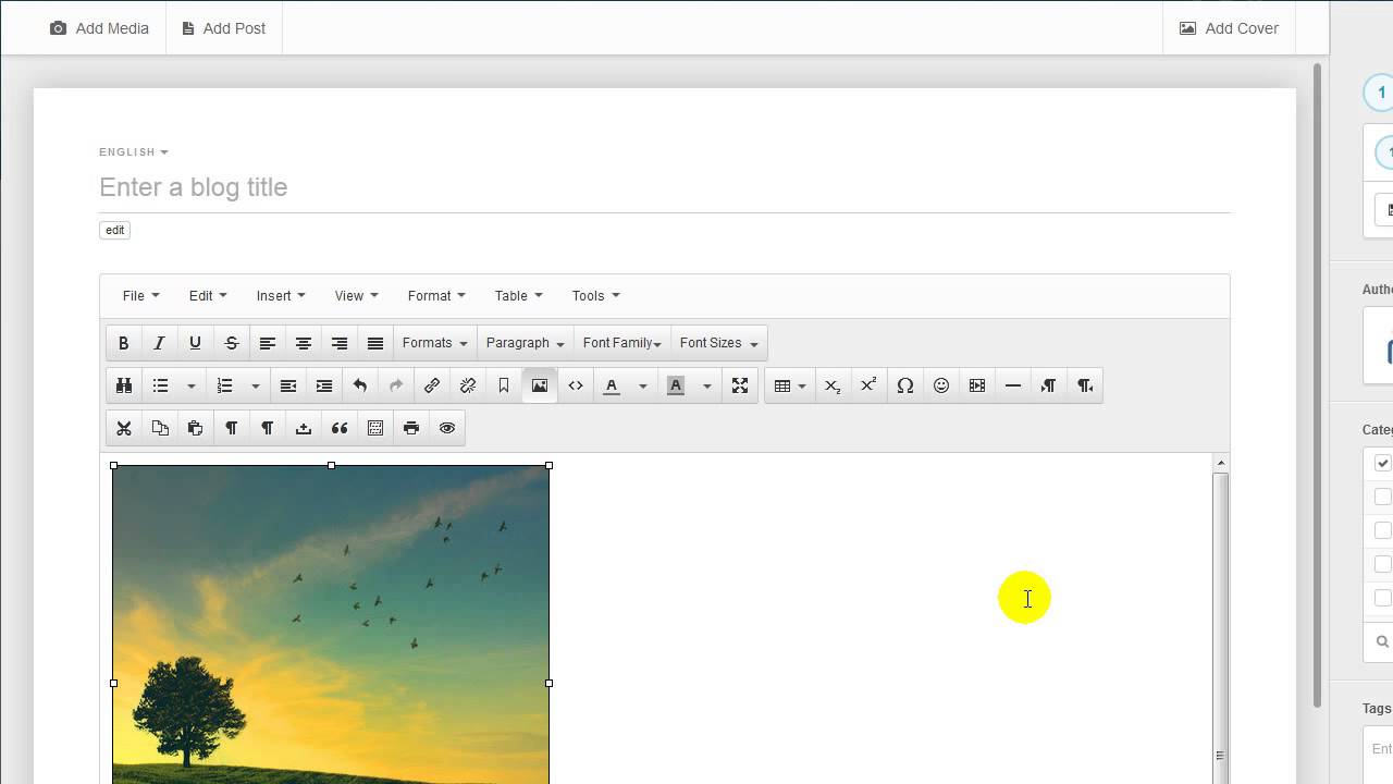Insert Image in Blog editor - YouTube
