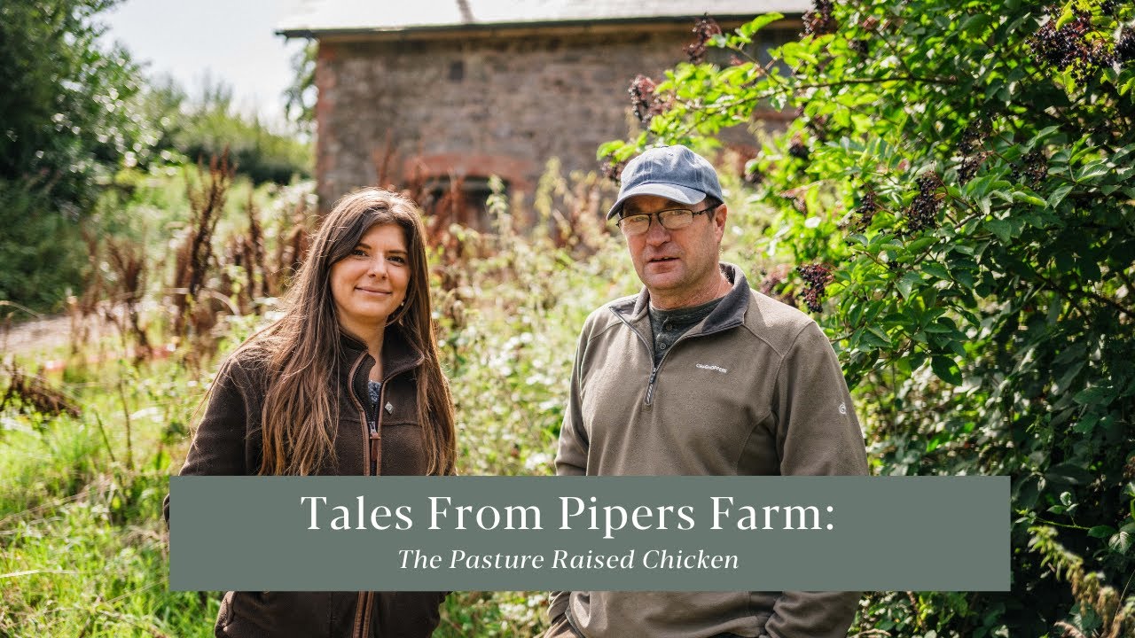 Tales from Pipers Farm: The Pasture Raised Chicken - YouTube