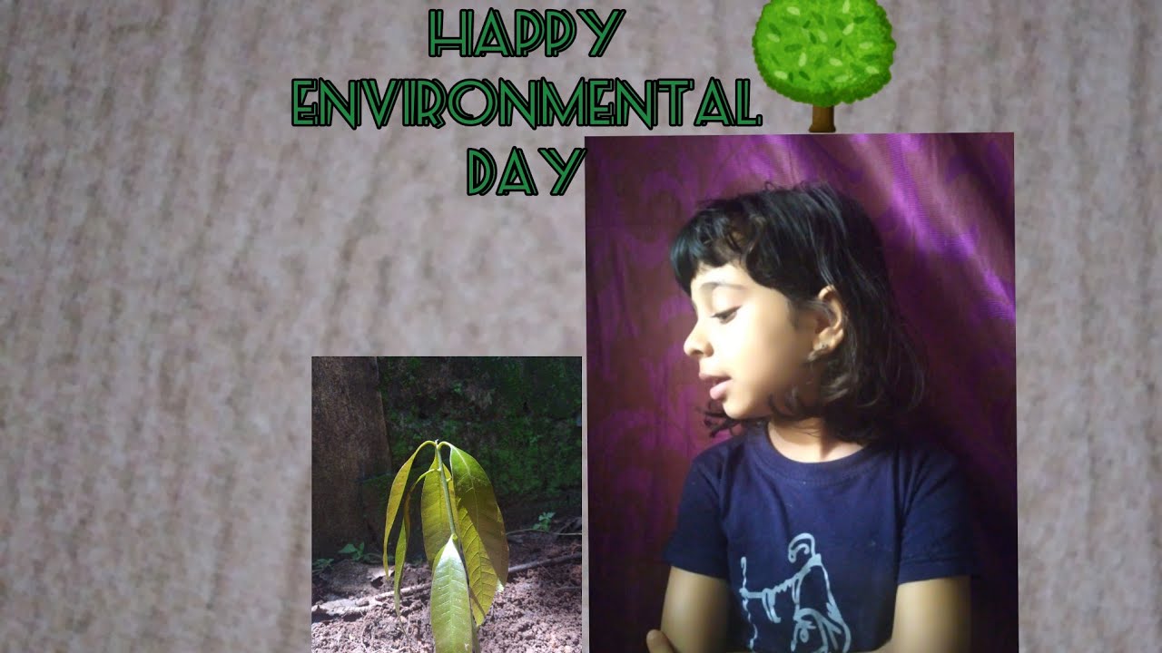 Environmental day special🌳 - YouTube