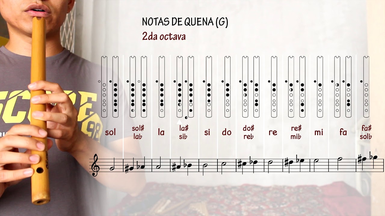 Quena Notas VICASKY Digitación De Acordes De Flauta Notas Del