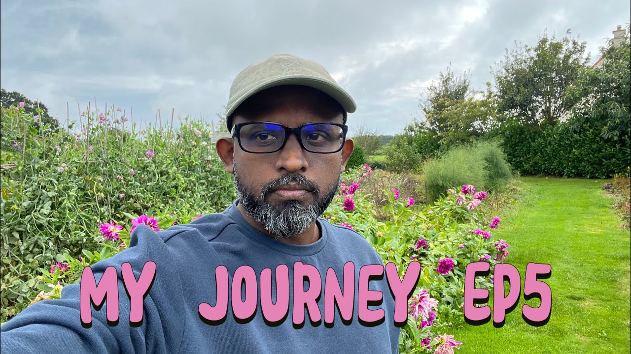 Software Engineer Career Episode 5 - YouTube