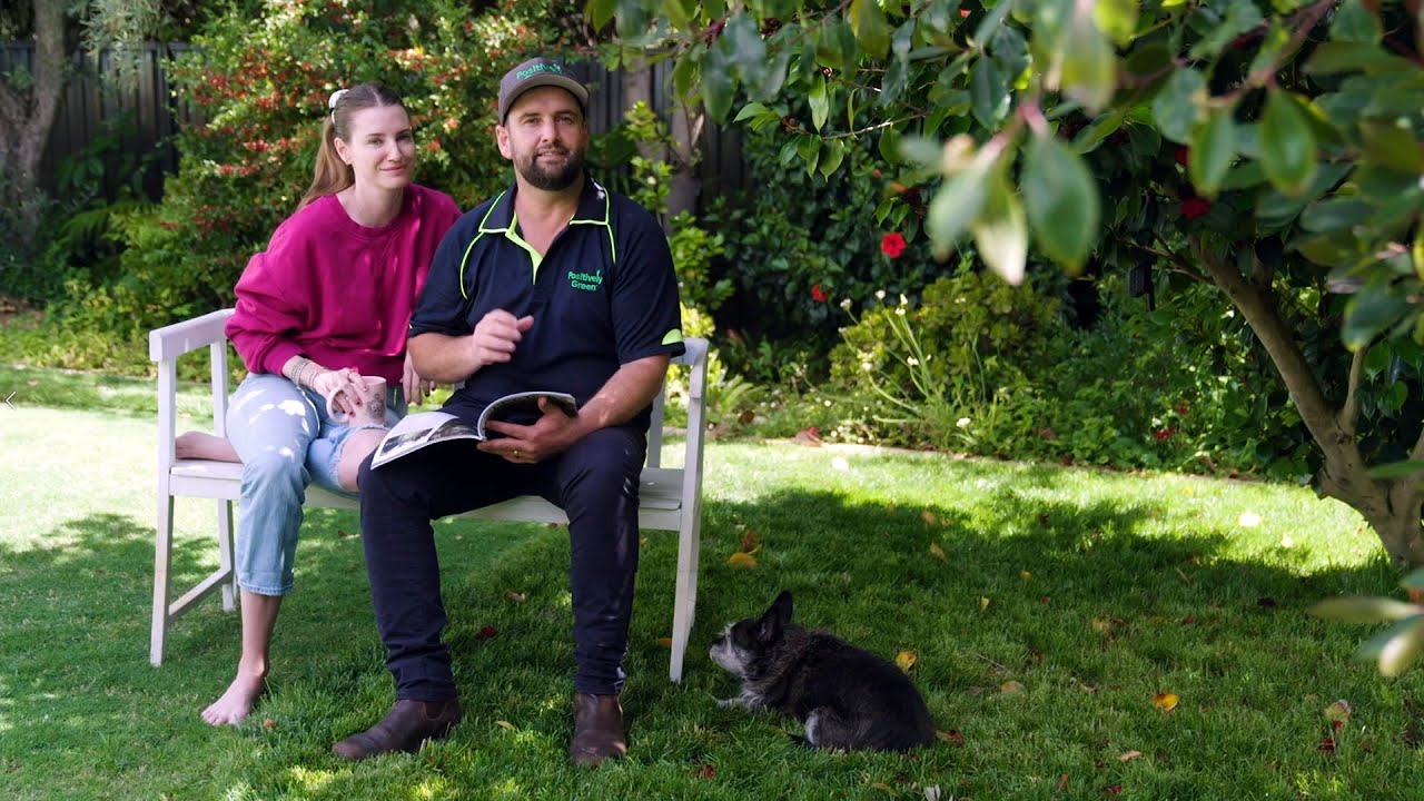 The Garden Gurus - Best Lawn Care Tips for Christmas - YouTube