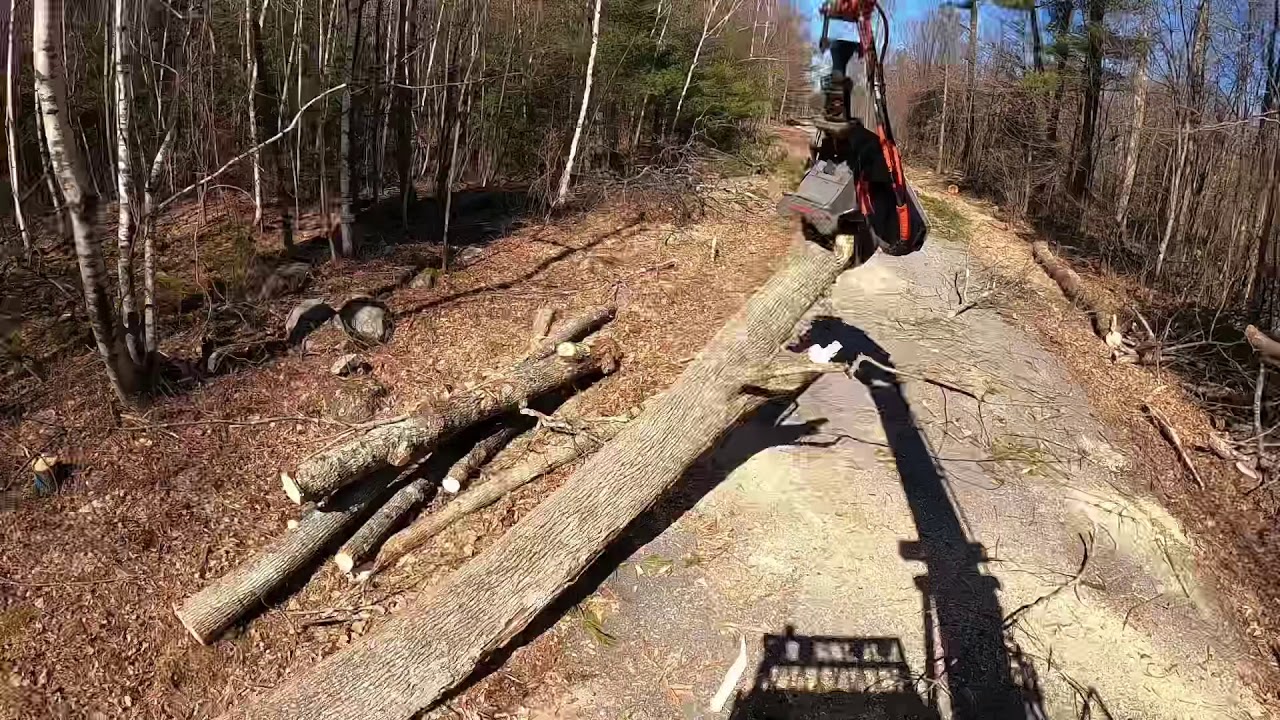 Cutting Trees at High Speed! - YouTube