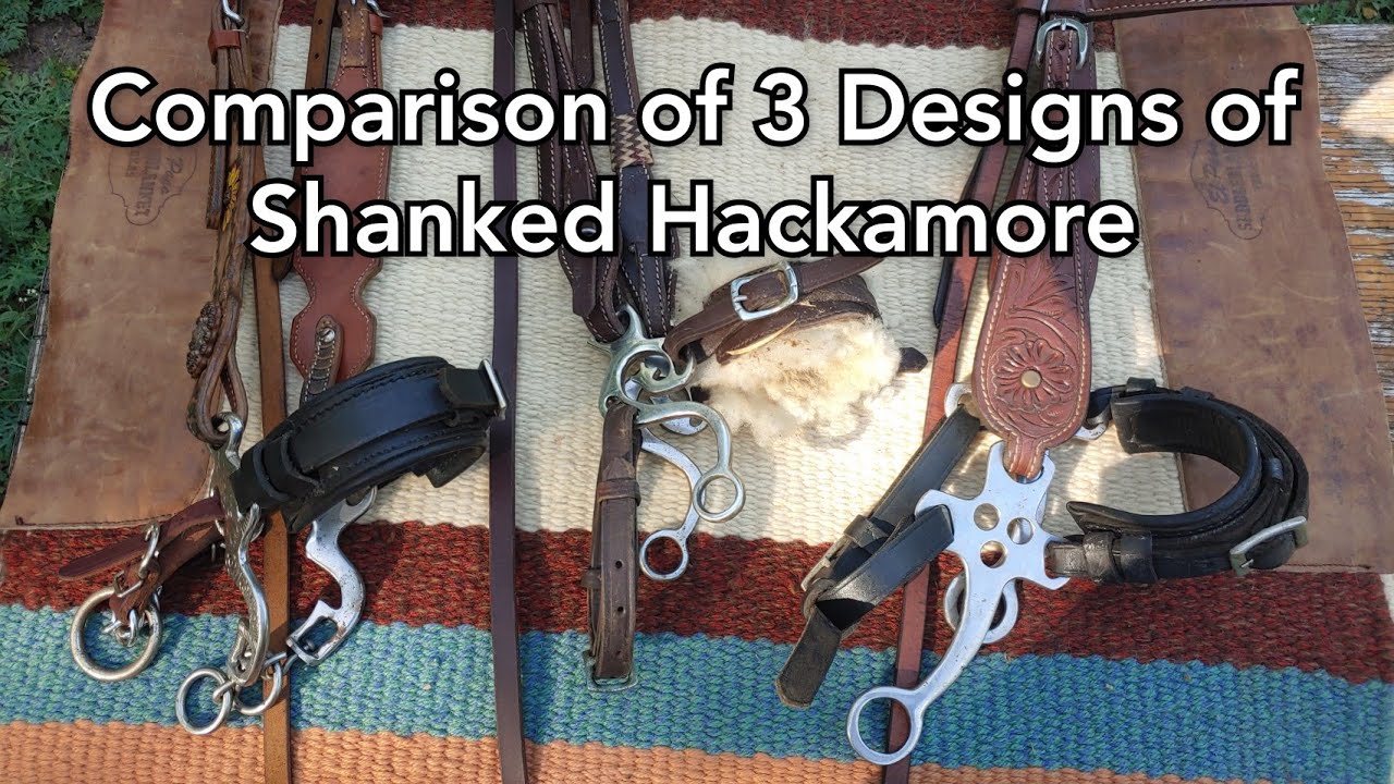 3 Different Designs of Shanked Hackamore - comparison with pros and ...