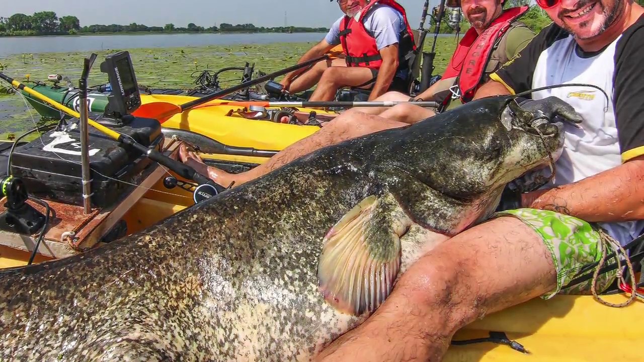 Clonk Kayak - Siluro - Kayak Fishing - YouTube
