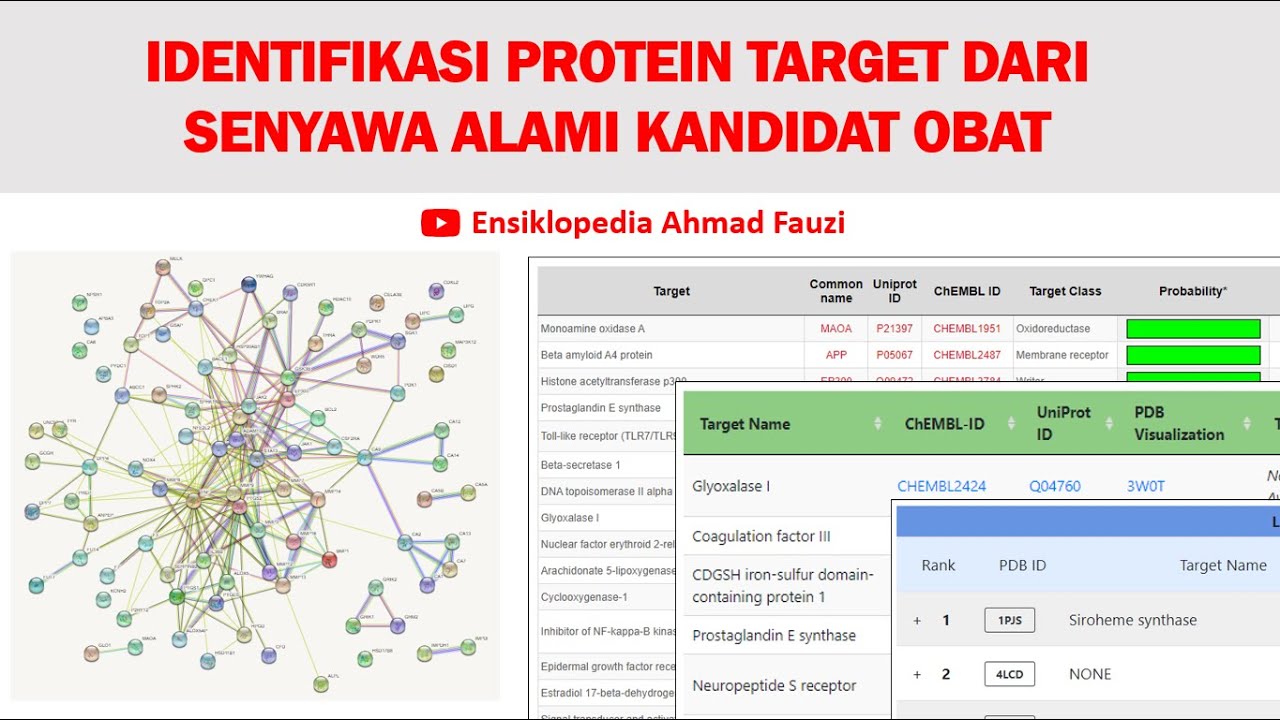 Identifikasi Protein Target dari Senyawa Alami Kandidat Obat ...