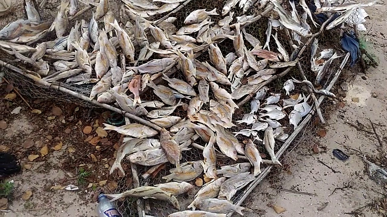 Playa Trudille - YouTube