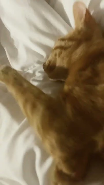 Wait a minute☝️,get it how you live it♥️,ten toes in when we standing ...